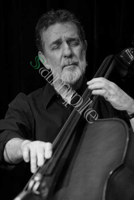 Bassist | Basic Profile | Skillots