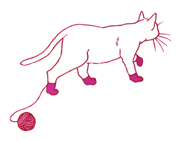 No Title | Basic Profile | Skillots