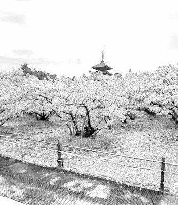 No Title | Basic Profile | Skillots