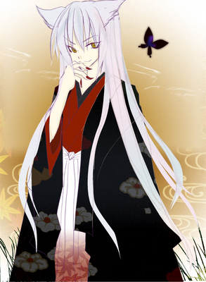 狐 | Basic Profile | Skillots